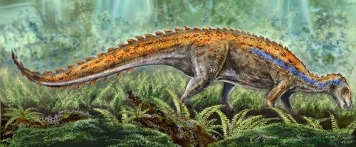 Tatisaurus | Dinosaur Pedia Wikia | Fandom
