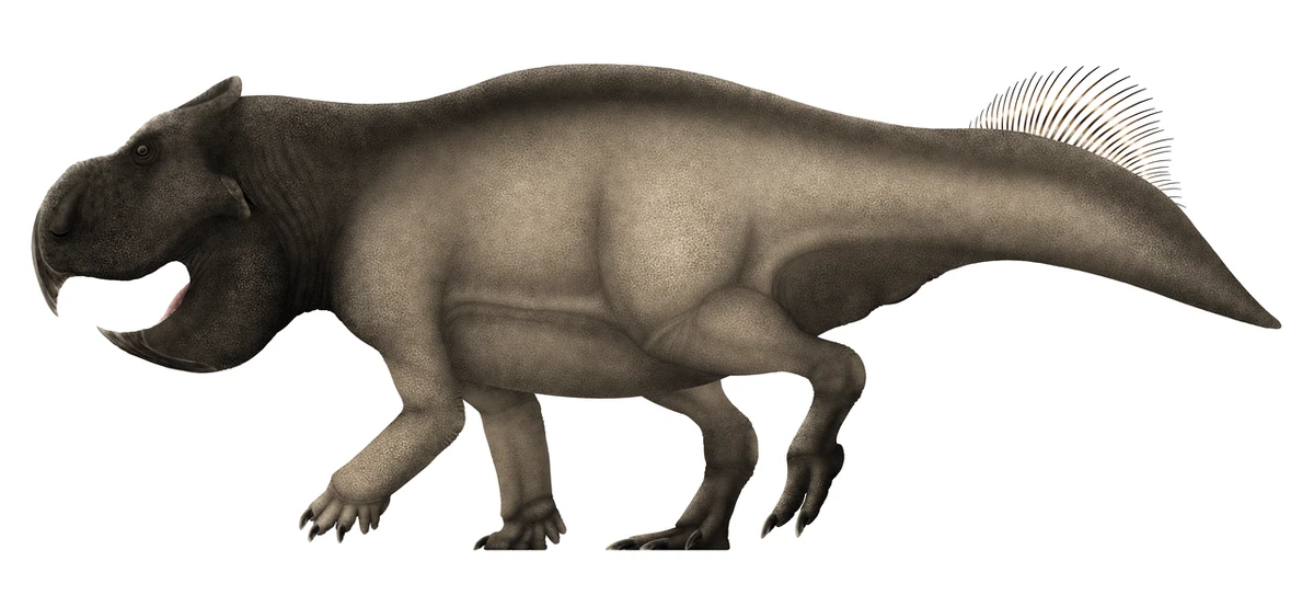 Udanoceratops | Dinosaur Pedia Wikia | Fandom