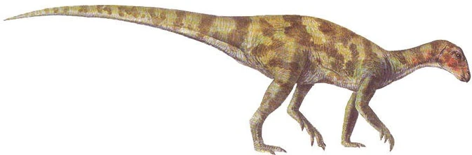 Parksosaurus | Dinosaur Pedia Wikia | Fandom