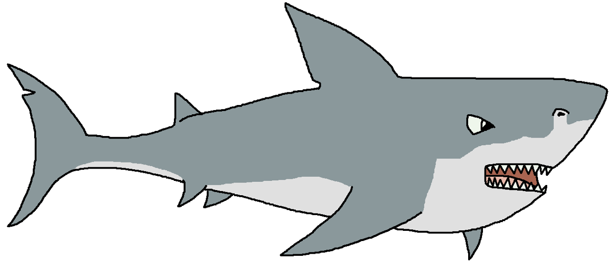 Megalodon | Dinosaur Pedia Wikia | Fandom