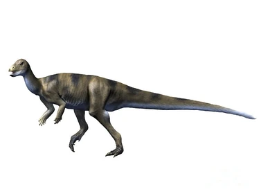 Albertadromeus | Dinosaur Pedia Wikia | Fandom