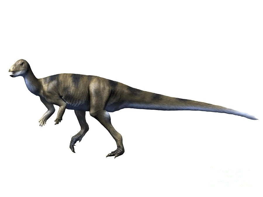 Albertadromeus | Dinosaur Pedia Wikia | Fandom