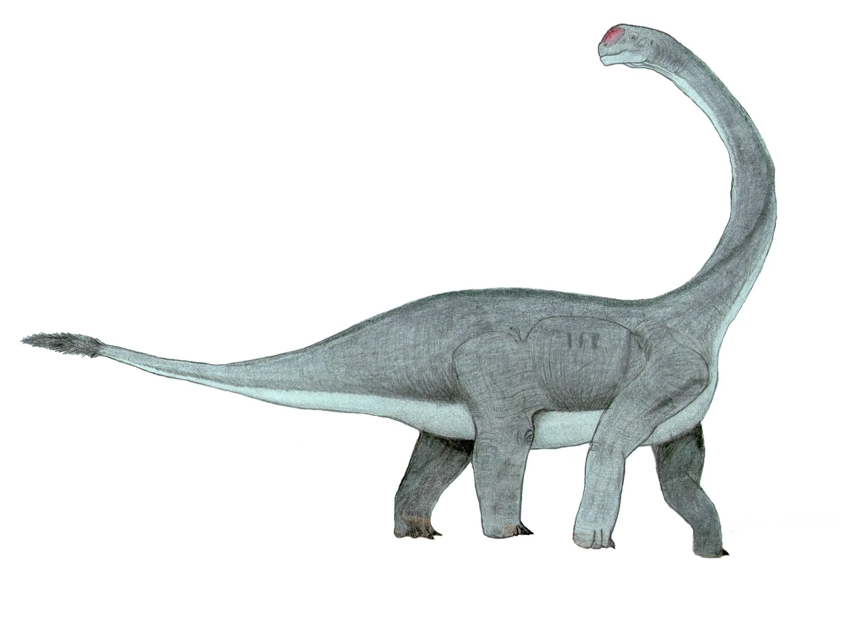 Abrosaurus | Dinosaur Pedia Wikia | Fandom