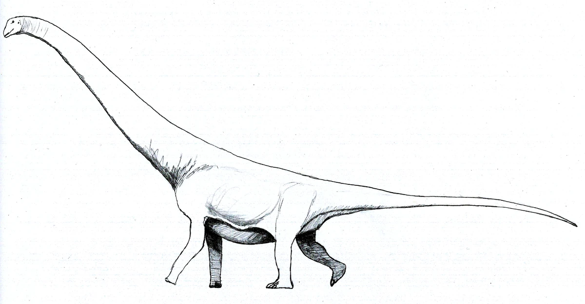 Andesaurus | Dinosaur Pedia Wikia | Fandom