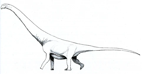 Andesaurus | Dinosaur Pedia Wikia | Fandom