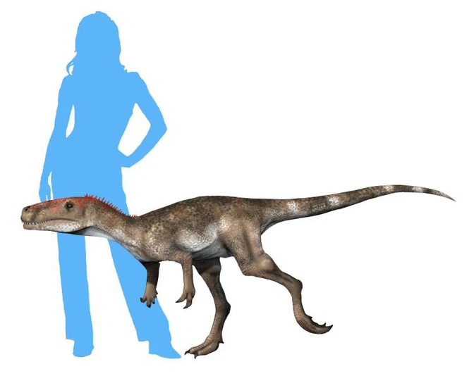 Staurikosaurus | Dinosaur Pedia Wikia | Fandom