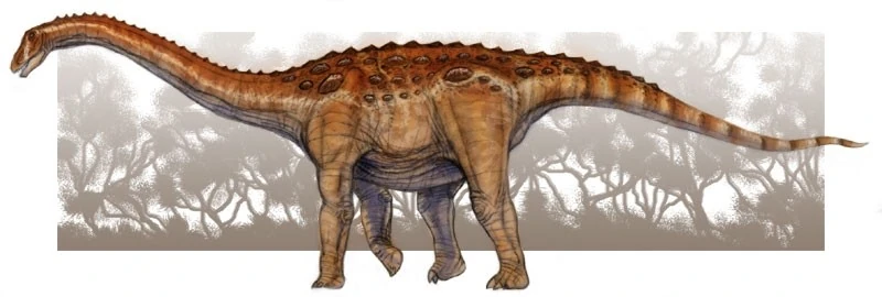 Aegyptosaurus | Dinosaur Pedia Wikia | Fandom