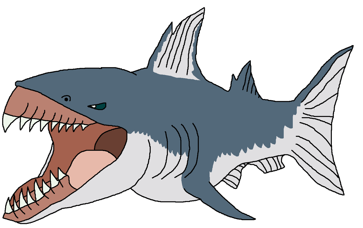 Edestus | Dinosaur Pedia Wikia | Fandom