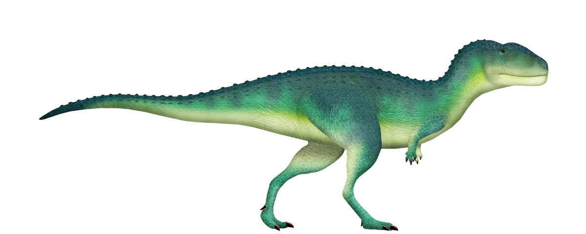 Ozraptor | Dinosaur Pedia Wikia | Fandom