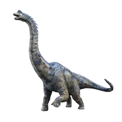 Giraffatitan | Dinosaur Pedia Wikia | Fandom