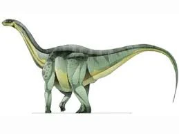 Rhoetosaurus | Dinosaur Pedia Wikia | Fandom