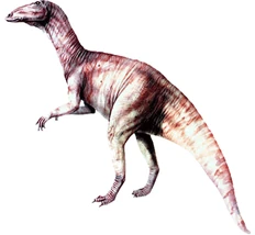 Aachenosaurus | Dinosaur Pedia Wikia | Fandom