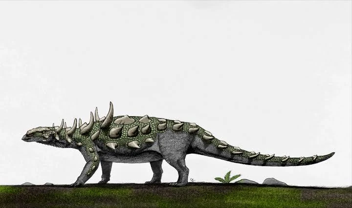 Zhongyuansaurus | Dinosaur Pedia Wikia | Fandom