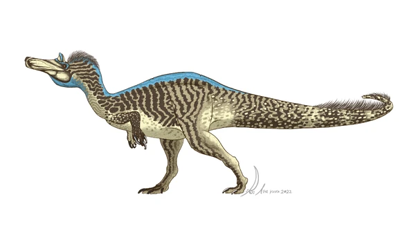 Riparovenator | Dinosaur Pedia Wikia | Fandom
