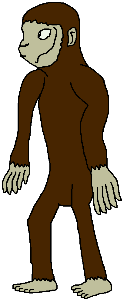 Australopithecus | Dinosaur Pedia Wikia | Fandom