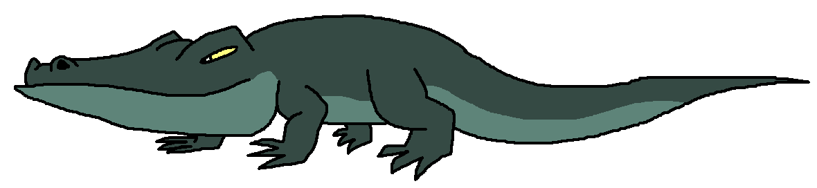Machimosaurus | Dinosaur Pedia Wikia | Fandom