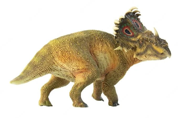 Sinoceratops | Dinosaur Pedia Wikia | Fandom