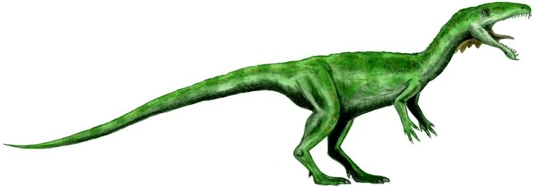 Masiakasaurus | Dinosaur Pedia Wikia | Fandom