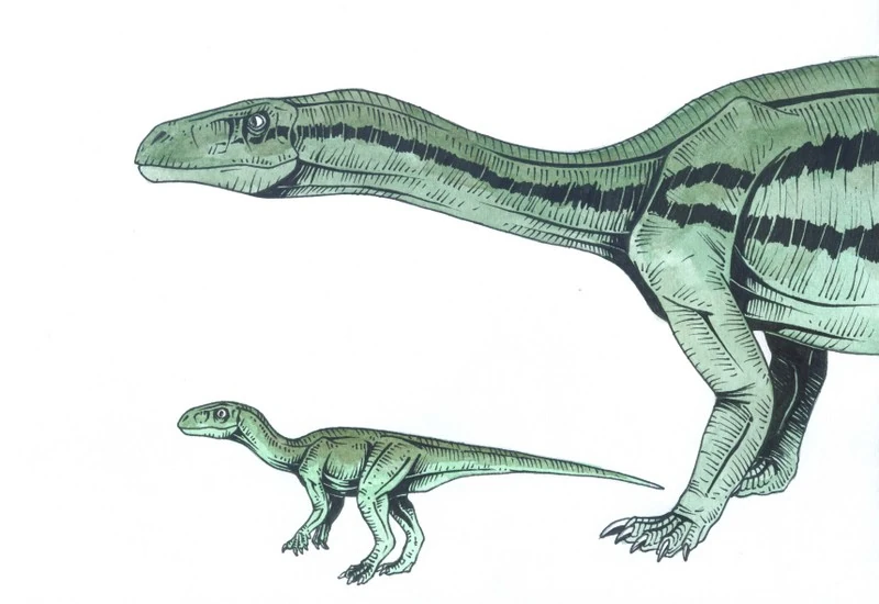 Mussaurus | Dinosaur Pedia Wikia | Fandom