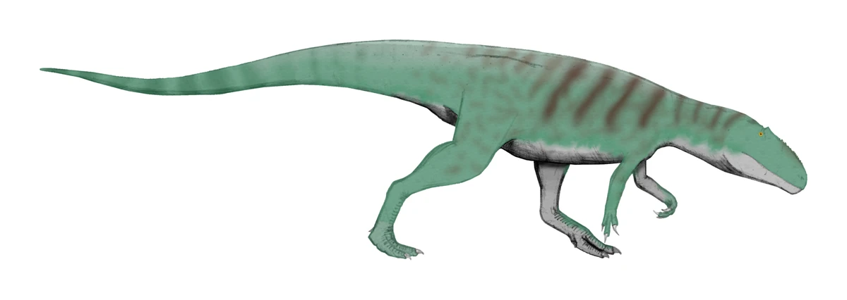 Kaijiangosaurus | Dinosaur Pedia Wikia | Fandom