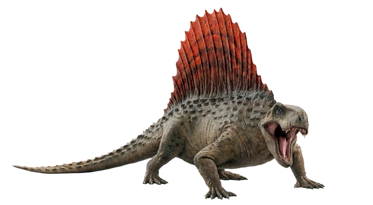 Dimetrodon | Dinosaur Protection Group Wiki | Fandom
