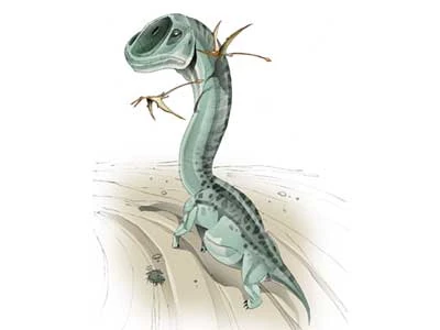 Ultrasaurus Size Comparison