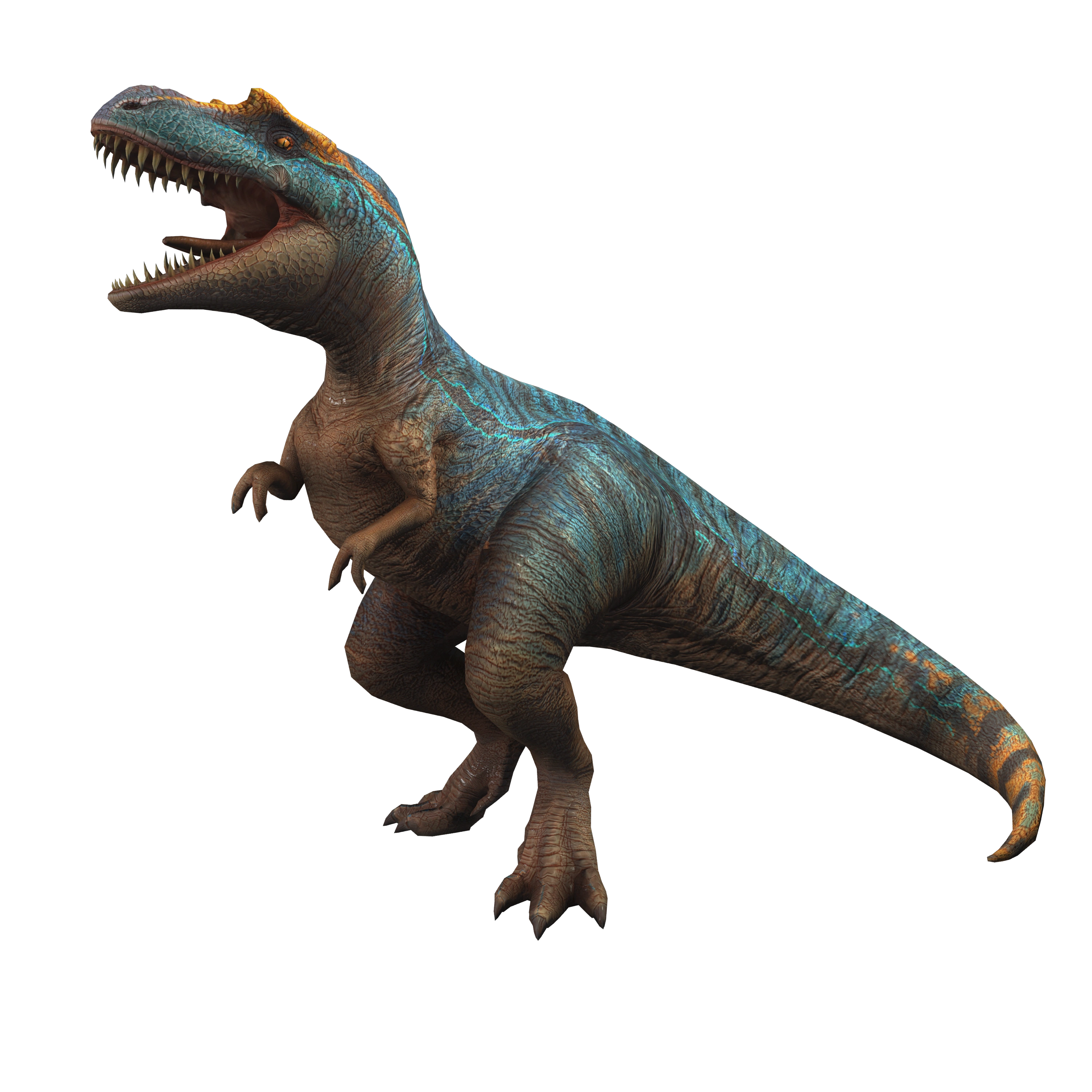 Gorgosaurus