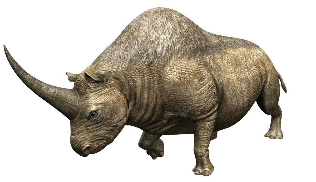 Elasmotherium | Dinosaur Protection Group Wiki | Fandom