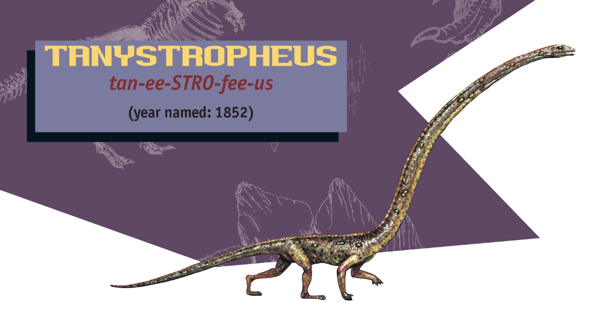 Tanystropheus Dinosaur Protection Group Wiki Fandom