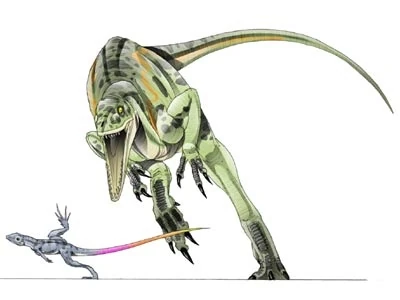 Coelurus | Dinosaur Protection Group Wiki | Fandom