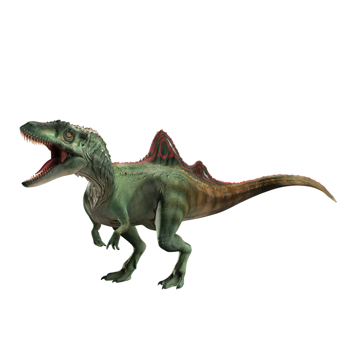 Concavenator Dinosaur Protection Group Wiki Fandom