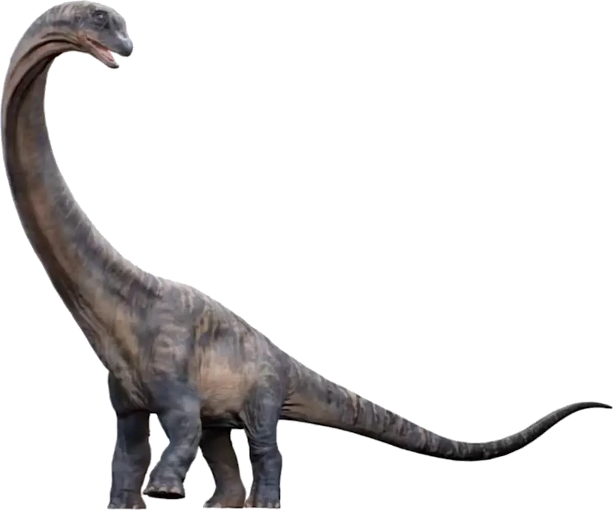 Dreadnoughtus | Dinosaur Protection Group Wiki | Fandom
