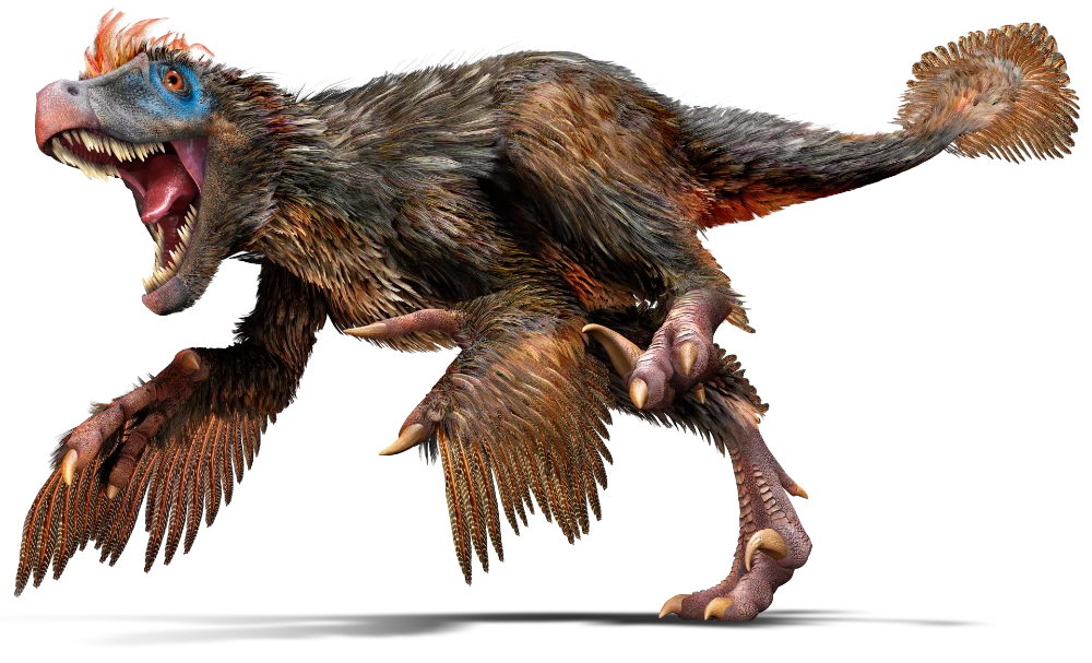 Roadrunner | Dinosaur Role Play Wiki | Fandom