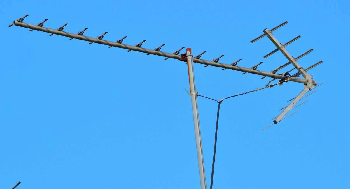 SCP ES 186 | Dinosaur train fanon Wikia | Fandom