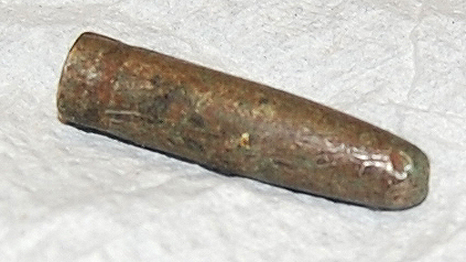 SCP 1652 | Dinosaur train fanon Wikia | Fandom