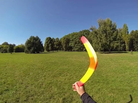 SCP 653 Boomerang VS SCP 388 Frisbee | Dinosaur train fanon Wikia | Fandom