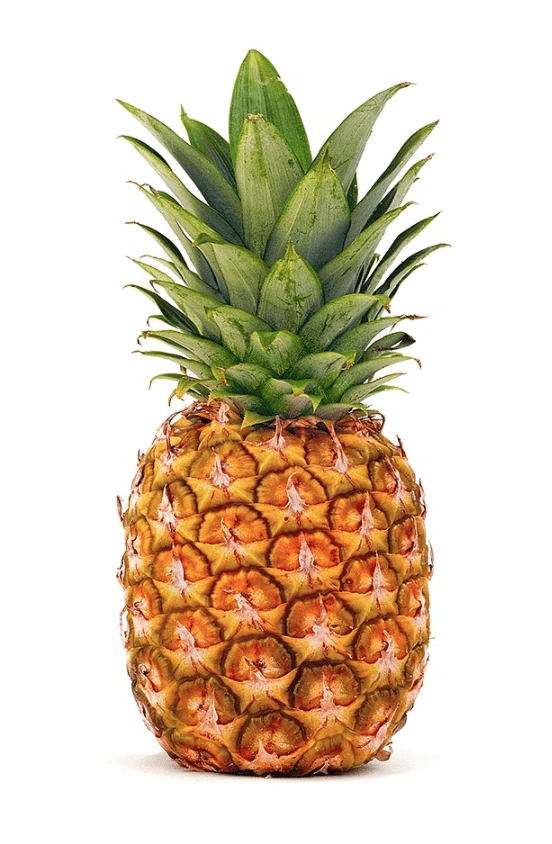 SCP 4796 | Dinosaur train fanon Wikia | Fandom