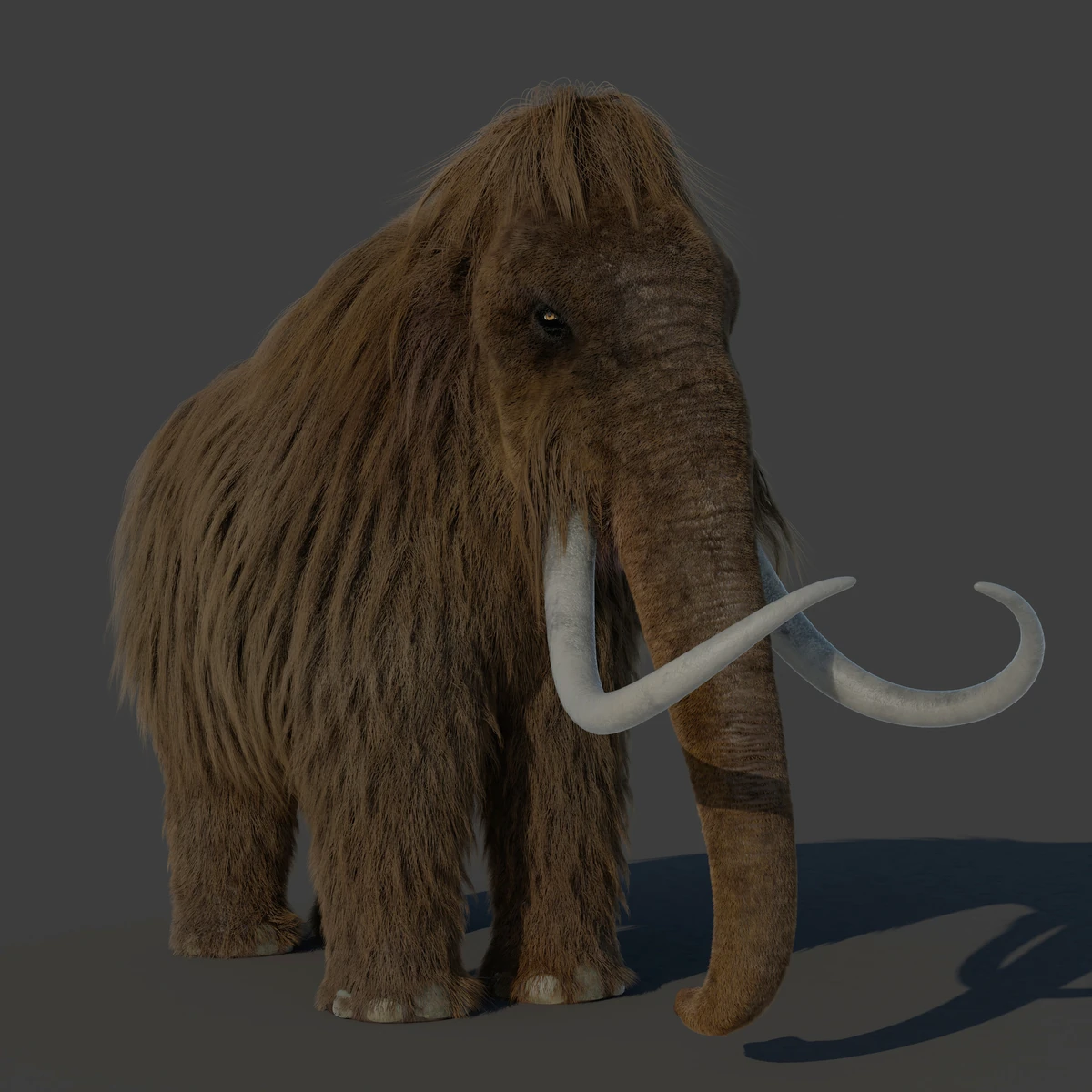 Tina Mammoth | Dinosaur train fanon Wikia | Fandom