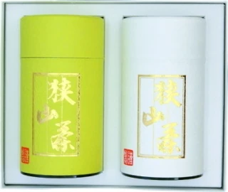 SCP 380 JP | Dinosaur train fanon Wikia | Fandom