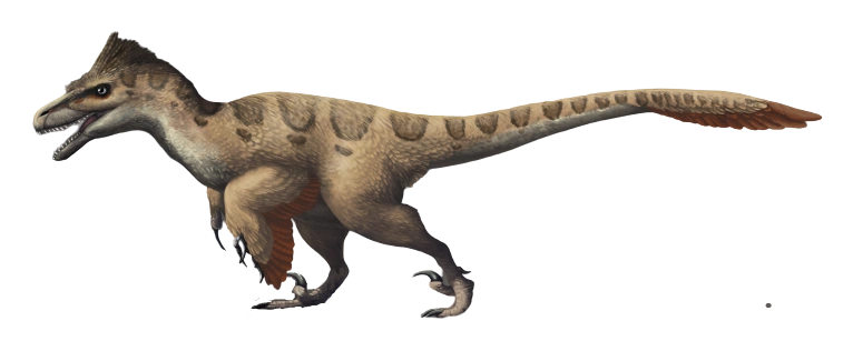 Utahraptor | Dinosaur World Mobile Concepts Wiki | Fandom