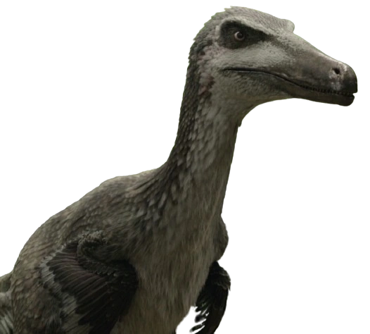 Austroraptor | Dinosaur World Mobile Concepts Wiki | Fandom