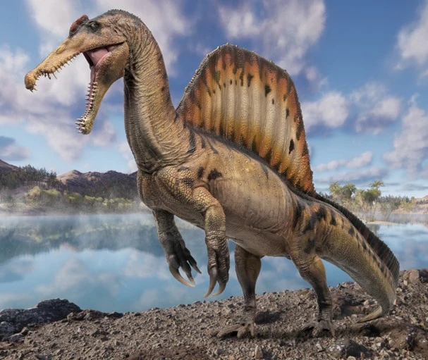Spinosaurus | Dinosaur World Mobile Concepts Wiki | Fandom