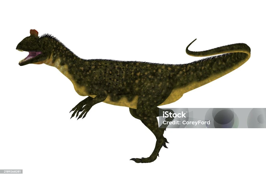 Cryolophosaurus | Dinosaur World Mobile Concepts Wiki | Fandom