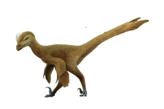 Pyroraptor | Dinosaur World Mobile Concepts Wiki | Fandom