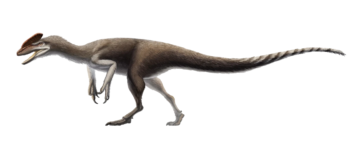 Guanlong | Dinosaur World Mobile Concepts Wiki | Fandom