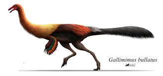 Gallimimus | Dinosaur World Mobile Concepts Wiki | Fandom
