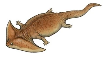Diplocaulus | Dinosaur World Mobile Concepts Wiki | Fandom