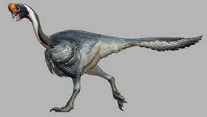 Citipati | Dinosaur World Mobile Concepts Wiki | Fandom