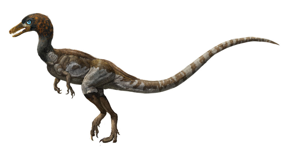 Juravenator Dinosaur World Mobile Concepts Wiki Fandom