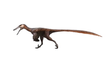 austroraptor speed
